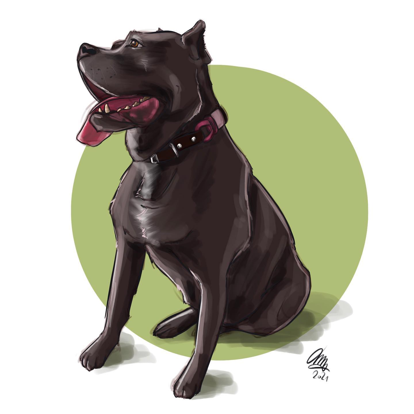 Galerie - Rayven Illustration